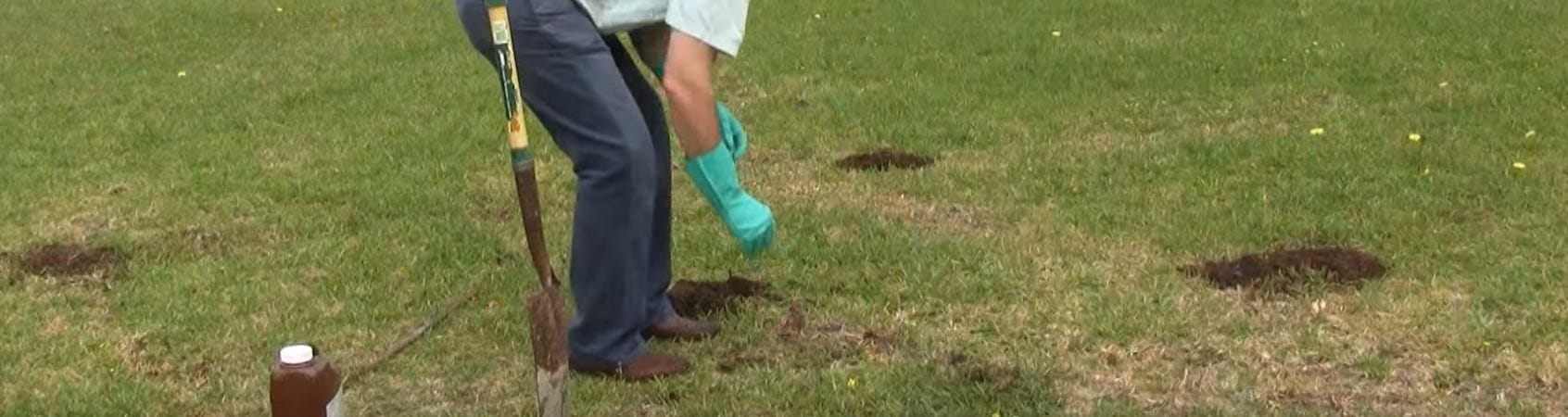 Strychnine Gopher Bait 50 | Best Gopher Bait | Solutions Pest & Lawn