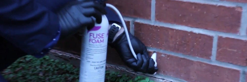 Fuse Foam | Solutions Pest & Lawn