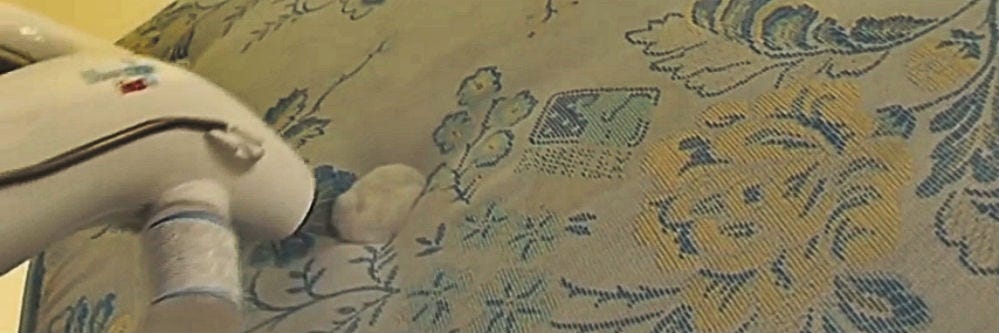 Polti Cimex Eradicator Commercial Bed Bug Steamer Solutions Pest Lawn