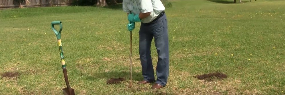 Omega Gopher Bait | Solutions Pest & Lawn