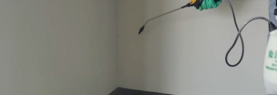 Web Out Cobweb Eliminator | Solutions Pest & Lawn